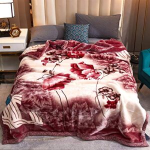 lgykumeg mink fleece throw blanket 59″ × 79″ – 2 ply reversible silky soft plush warm blanket for autumn winter 4.4 lb /2kg.