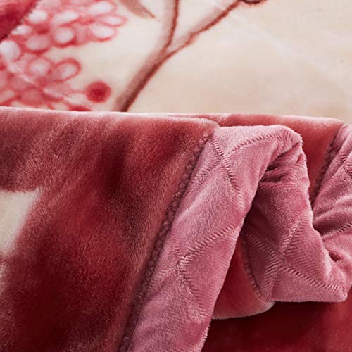 LGYKUMEG Mink Fleece Throw Blanket 59" × 79" - 2 Ply Reversible Silky Soft Plush Warm Blanket for Autumn Winter 4.4 Lb /2kg.