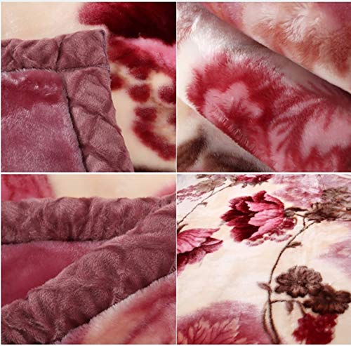 LGYKUMEG Mink Fleece Throw Blanket 59" × 79" - 2 Ply Reversible Silky Soft Plush Warm Blanket for Autumn Winter 4.4 Lb /2kg.