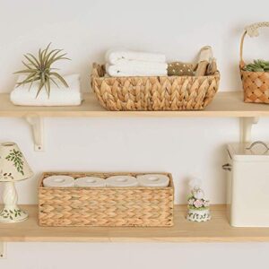 StorageWorks Hand Woven Storage Baskets and Toilet Paper Baskets Set