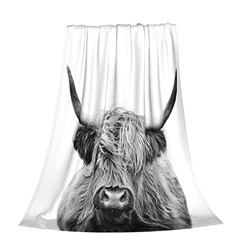 Flannel Highland Cow Blanket for Bed Couch Sofa,Scotland Scottish Horns Bull Cattle Throw Blanket,Soft Cozy Plush Warm Fuzzy White Grey Blanket for Adults Teens Kids 60"x50"