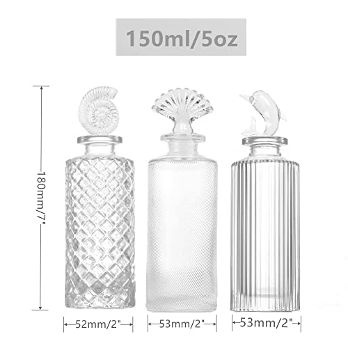 Clear Vintage Glass Bottles with Stopper Set of 3, Embossed Glass Bottles, Reed Diffuser Sets, Apothecary Flower Bud Vases, SC036