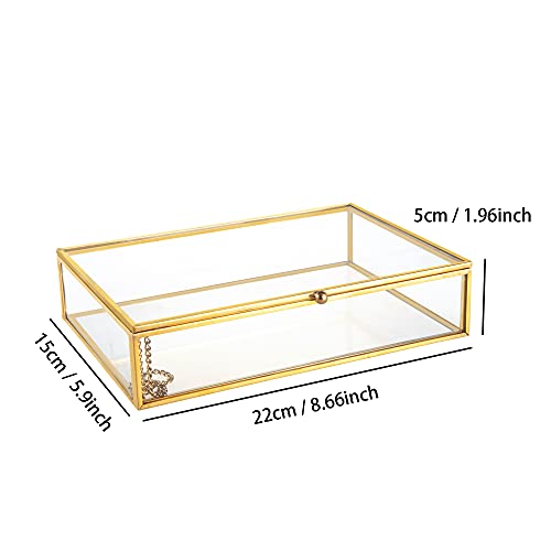 Feyarl Gold Clear Glass Jewelry Trinket Box Photo Cards Shadow Box Organizer Collection Display Case Decorative Keepsake Box with Lid for Home Deco