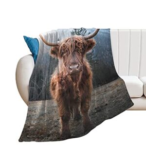 cow blanket cool highland horned baby cow cattle enjoying the sunrise flannel blanket,ultra soft sofa bed blanket, lightweight travel throw blankets novelty gift blanket unisex,60″x50″