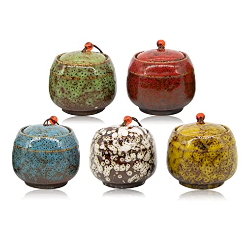 patscorai Small Urns for Human Ashes, Set of 5 Decorative Cremation Keepsakes Made of Ceramic, Mini Urns for Adult Ashe, Personal Funeral for Pet or Human Ashes(Set of 5)