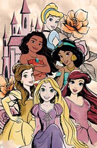 trends international disney ultimate princess celebration-castle group wall poster, 22.375″ x 34″, premium unframed version