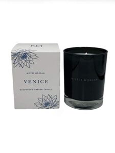 mister morgan venice casanova’s garden candle, 11 ounces