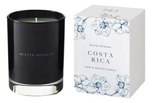 niven morgan, costa rica jar candle, 11 ounces