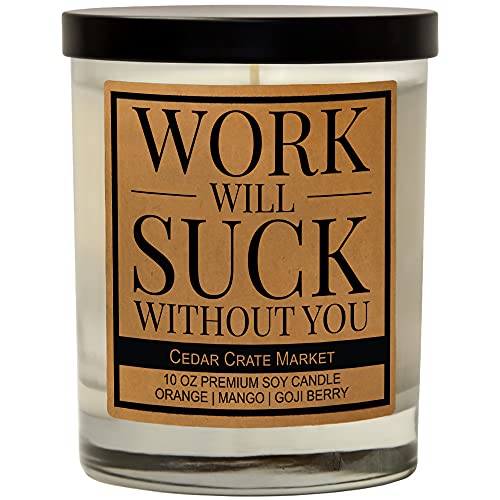 Work Will Suck Without You - Going Away Gifts for Coworkers, Boss, Best Friend, New Job Gifts, Coworker Leaving Gifts, Funny Candle for Women, Men, Work Bestie Gifts, Home Office, Friendship Candle