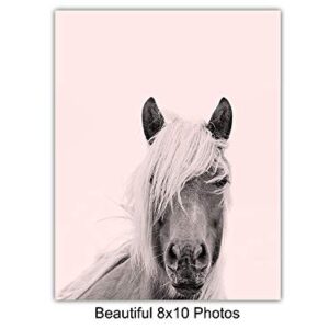 Horse Wall Art - Farmhouse Barn Wall Decor for Girls Bedroom, Office, Living Room - Country Western Boho Shabby Chic Decorations - Gift for Equestrian Women - Pink Pony Poster Set