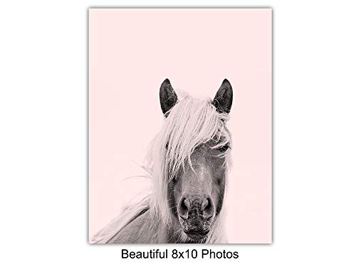 Horse Wall Art - Farmhouse Barn Wall Decor for Girls Bedroom, Office, Living Room - Country Western Boho Shabby Chic Decorations - Gift for Equestrian Women - Pink Pony Poster Set