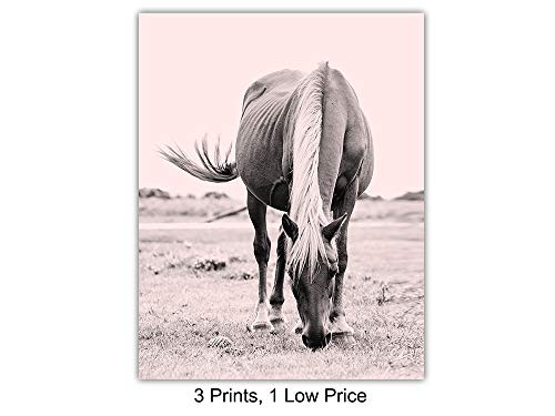 Horse Wall Art - Farmhouse Barn Wall Decor for Girls Bedroom, Office, Living Room - Country Western Boho Shabby Chic Decorations - Gift for Equestrian Women - Pink Pony Poster Set