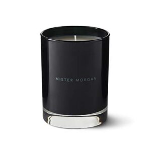 Mister Morgan St. Barth's Royal Palm and Nectar Candle, 11 Ounces