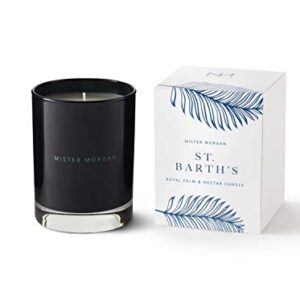 Mister Morgan St. Barth's Royal Palm and Nectar Candle, 11 Ounces