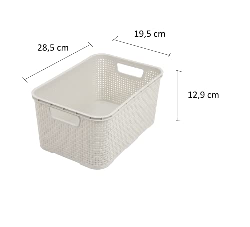 BranQ - Home essential Wicker Basket Set of 4 Small 7 litres, Cream, 4er-Set 7l