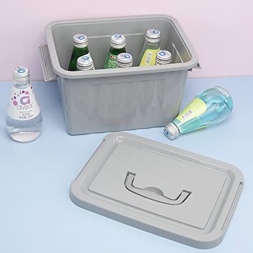 Readsky 6 Quart Plastic Storage Box, Latching Boxes with Handles, 6-Pack