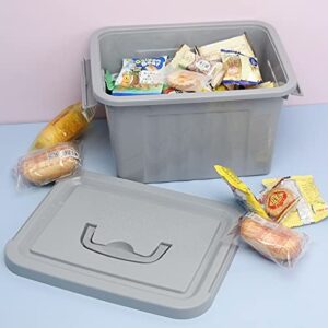 Readsky 6 Quart Plastic Storage Box, Latching Boxes with Handles, 6-Pack