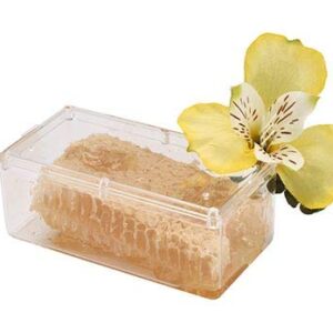 Pioneer Plastics 155C Clear Rectangular Plastic Container, 4.3125" W x 2.25" D x 1.75" H