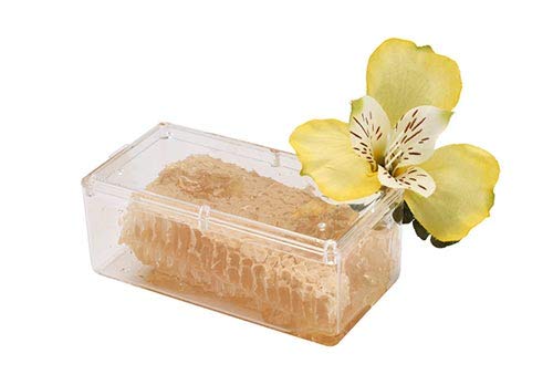 Pioneer Plastics 155C Clear Rectangular Plastic Container, 4.3125" W x 2.25" D x 1.75" H