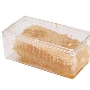 Pioneer Plastics 155C Clear Rectangular Plastic Container, 4.3125" W x 2.25" D x 1.75" H