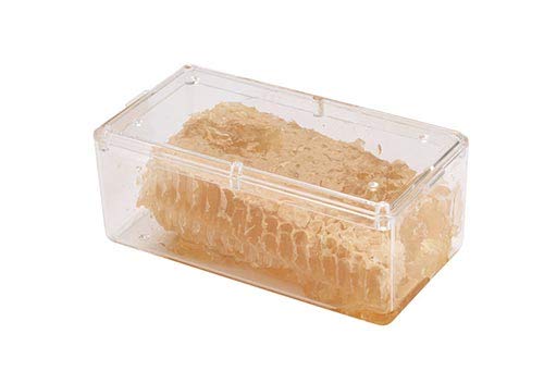 Pioneer Plastics 155C Clear Rectangular Plastic Container, 4.3125" W x 2.25" D x 1.75" H