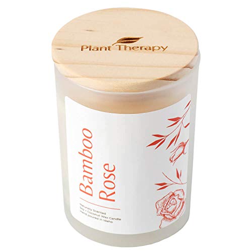 Plant Therapy Natural Bamboo Rose Aromatherapy Candle - Vegan Soy & Coconut Wax, 8 oz, Long Lasting, Hand Poured in The USA, Scented with Essential Oils