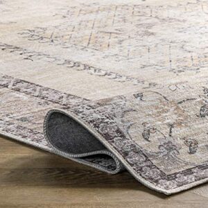 nuLOOM Glenda Machine Washable Faded Medallion Area Rug, 4' x 6', Light Grey