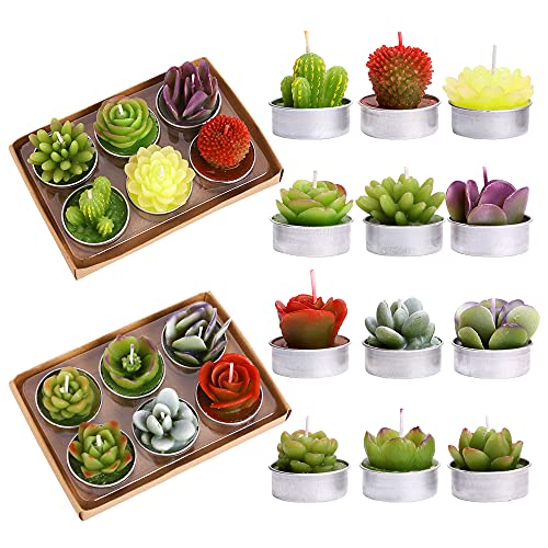 12 Pcs Cactus Tealight Candles Delicate Succulent Cactus Candles for Valentine's Day Birthday Party Wedding Spa Home Decoration Gifts