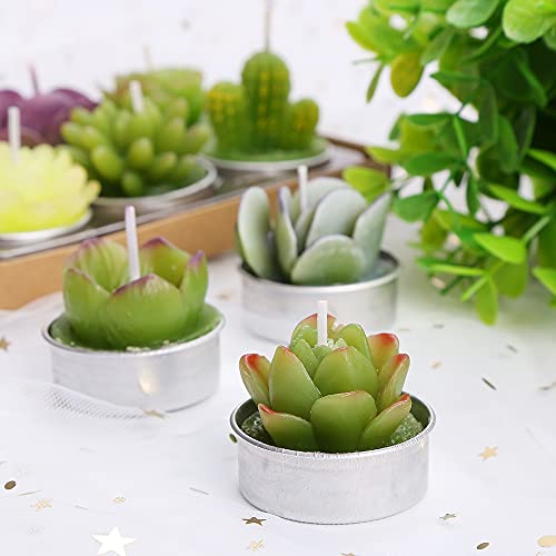 12 Pcs Cactus Tealight Candles Delicate Succulent Cactus Candles for Valentine's Day Birthday Party Wedding Spa Home Decoration Gifts