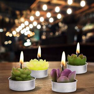 12 Pcs Cactus Tealight Candles Delicate Succulent Cactus Candles for Valentine's Day Birthday Party Wedding Spa Home Decoration Gifts