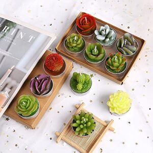 12 Pcs Cactus Tealight Candles Delicate Succulent Cactus Candles for Valentine's Day Birthday Party Wedding Spa Home Decoration Gifts