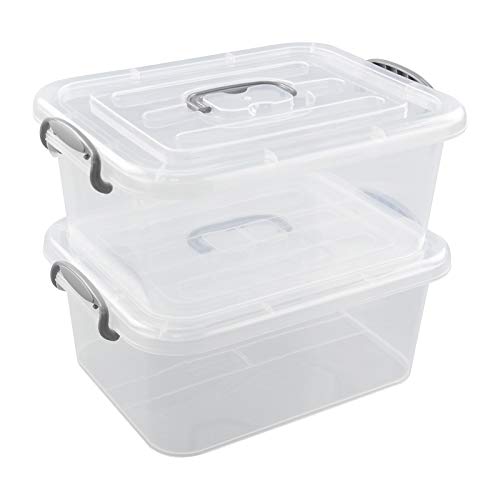 Dehouse 8 L Clear Storage Latch Box, Plastic Lidded Storage Bins, 2 Packs