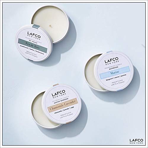 LAFCO NEW YORK – Travel Sized Scented Candle in Ski House Feu de Bois with Hints of Sandalwood, Leather Accord and Frankincense (4 oz.)