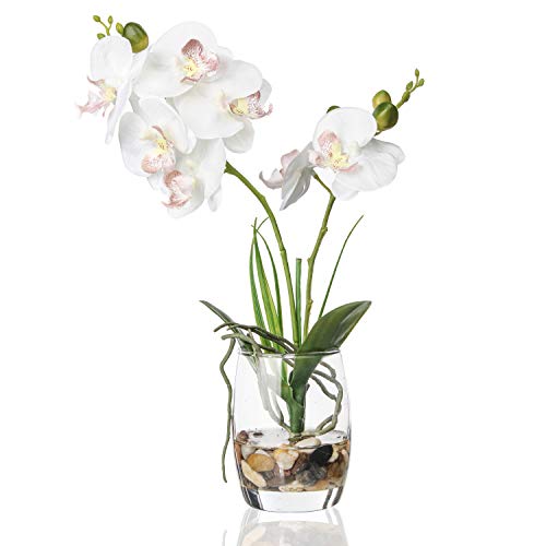 Jusdreen Artificial Flower Bonsai with Glass Vase Vivid Orchid Flowers Arrangement Phalaenopsis Flowers Pot for Home Office Décor Table Centerpiece House Decorations(Glass Vase/White Orchid)