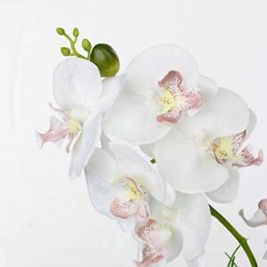 Jusdreen Artificial Flower Bonsai with Glass Vase Vivid Orchid Flowers Arrangement Phalaenopsis Flowers Pot for Home Office Décor Table Centerpiece House Decorations(Glass Vase/White Orchid)