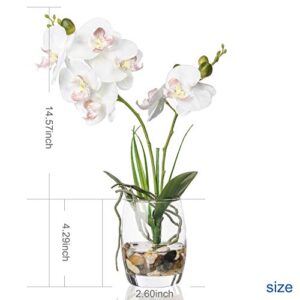 Jusdreen Artificial Flower Bonsai with Glass Vase Vivid Orchid Flowers Arrangement Phalaenopsis Flowers Pot for Home Office Décor Table Centerpiece House Decorations(Glass Vase/White Orchid)