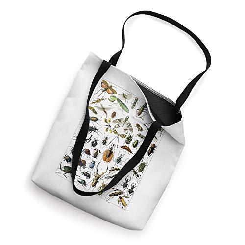 Insects Insect Bug Vintage Entomology Print gift Bug Print Tote Bag