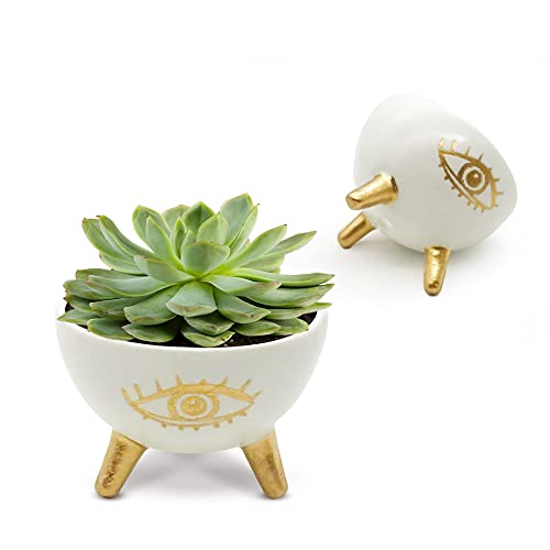 SLS SUPPLY FLORA Gold Evil Eye Ring Bowl, Modern Table Top Planter and Ceramic Jewelry Dish, Small Decorative Bowl, Chic Table Key Holder for Coins and Other Trinkets