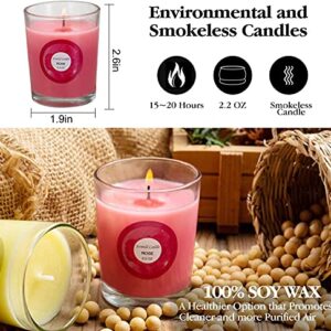 DALANG Scented Candles, Anxiety Reducer Jasmine, Rose, Vanilla, Bergamot, fig, Lavender, Lemon, Spring,Strawberry, Rosemary, Aromatherapy Organic Massage Candles - 20 Pack