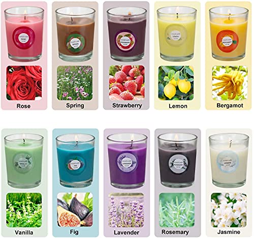 DALANG Scented Candles, Anxiety Reducer Jasmine, Rose, Vanilla, Bergamot, fig, Lavender, Lemon, Spring,Strawberry, Rosemary, Aromatherapy Organic Massage Candles - 20 Pack