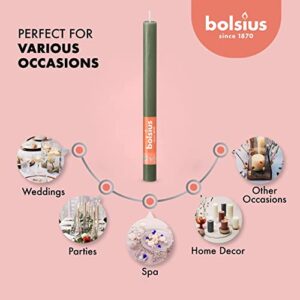 BOLSIUS 16 Fresh Olive Rustic Household Candles - 10.5 Inch - Premium European Quality - 13 Burn Hours - Natural Eco-Friendly Plant-Based Wax - Unscented Dripless & Smokeless Party Décor Candlesticks