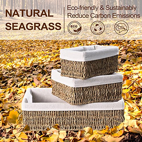 FairyHaus Seagrass Storage Baskets with Liner, Natural Small Seagrass Baskets, Hand-woven Nesting Wicker Baskets Set for Shelves Rectangle 3Pack (L+M+S)