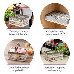 Mutual Trade Plastic Storage Basket Collapsible Crate - Portable Shopping Basket with Handle, Durable Storage Bin, Mutli-Purpose Storage Crate for Kitchen，Bathroom，Medicine (2)