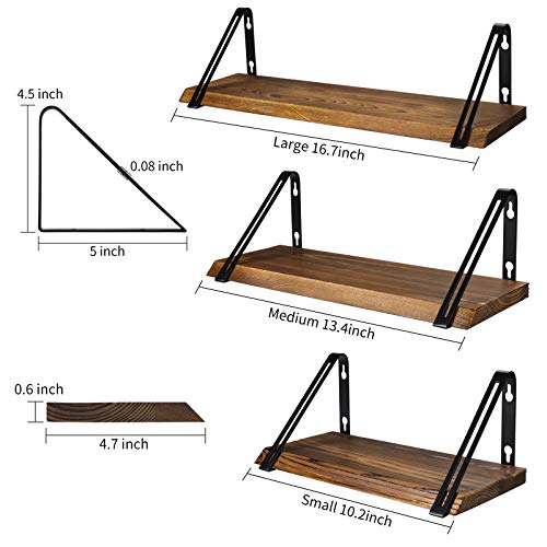 TJ.MOREE Floating Shelves Wall Mounted Decor Set of 3 - Carved Carbonized Brown