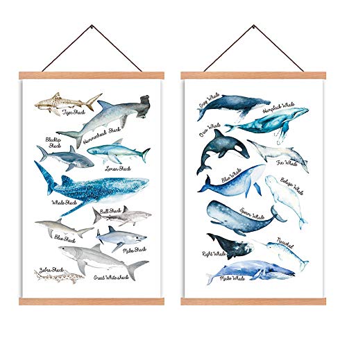 HPNIUB Natural Wood Magnetic Hanger Frame Poster- Shark & Whale Wall Art Print ,Sea Life Canvas Poster,Educational Science Wall Art Painting For Classroom Decor, 28X45cm Frames Hanging Kit