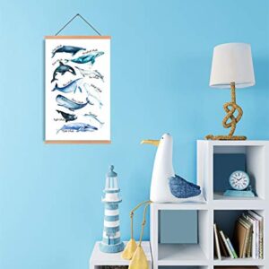 HPNIUB Natural Wood Magnetic Hanger Frame Poster- Shark & Whale Wall Art Print ,Sea Life Canvas Poster,Educational Science Wall Art Painting For Classroom Decor, 28X45cm Frames Hanging Kit