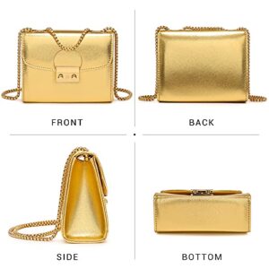 Dasein Women Small Crossbody Bag Designer Evening Bag Clutch Purse Handbag for Wedding/Prom/Party with Double Chain Strap