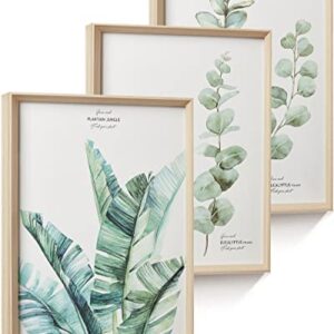 HesenDot Framed Wall Art，Botanical Prints for Bedroom, Minimalist 3 Piece Wood Art Wall Decor Aesthetic, 16x12in High Frame Design Prints Flower Green Eucalyptus Leaf Artworks, MDF Framed Poster for Kitchen, Bathroom, Bedroom Set of 3