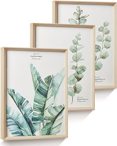 HesenDot Framed Wall Art，Botanical Prints for Bedroom, Minimalist 3 Piece Wood Art Wall Decor Aesthetic, 16x12in High Frame Design Prints Flower Green Eucalyptus Leaf Artworks, MDF Framed Poster for Kitchen, Bathroom, Bedroom Set of 3