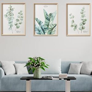 HesenDot Framed Wall Art，Botanical Prints for Bedroom, Minimalist 3 Piece Wood Art Wall Decor Aesthetic, 16x12in High Frame Design Prints Flower Green Eucalyptus Leaf Artworks, MDF Framed Poster for Kitchen, Bathroom, Bedroom Set of 3